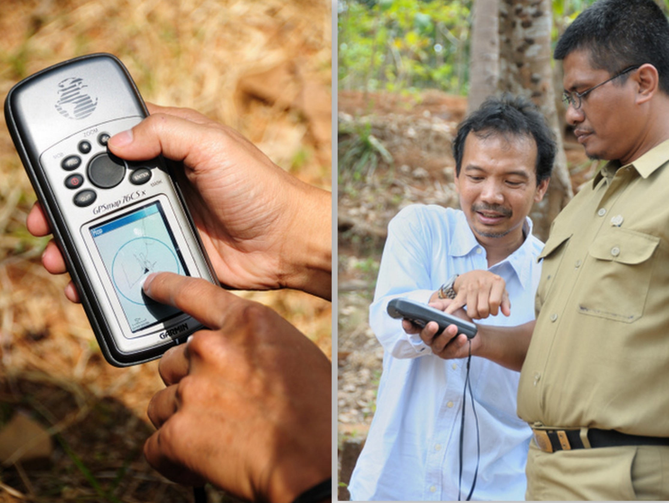 Site Inspection & Mapping | Trees4Trees