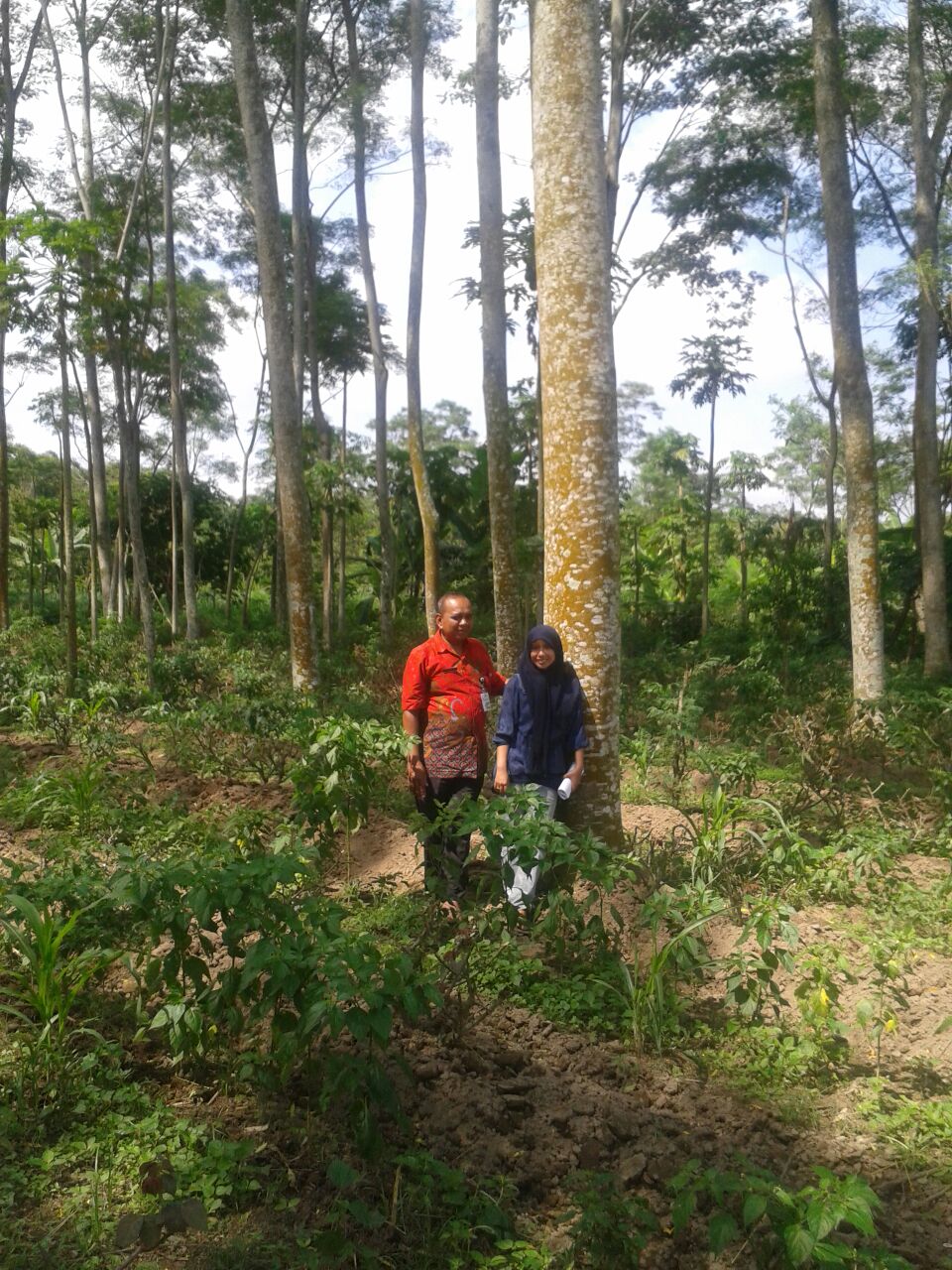 A Trip With Jenny from Tari Travel - Trees4Trees - tree planting ...