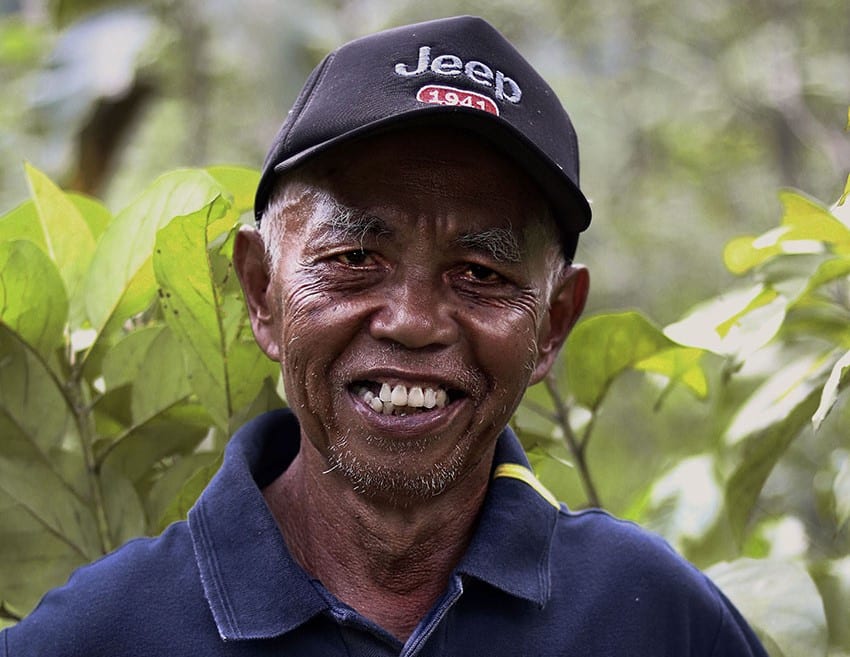 Sarpin: Planting Trees Are More Important Than Money - Trees4Trees ...