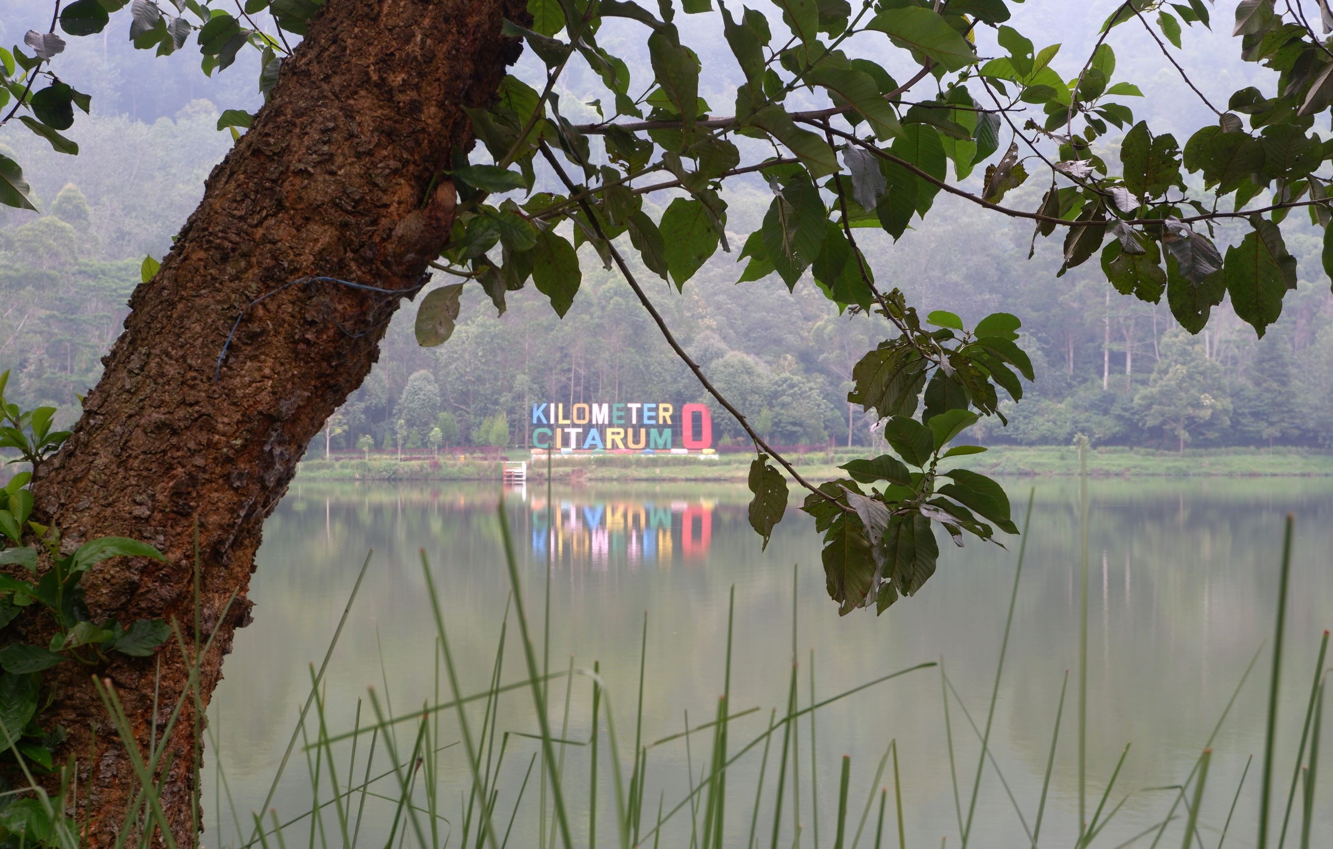 A Hub of Biodiversity: Exploring the Citarum - Trees4Trees