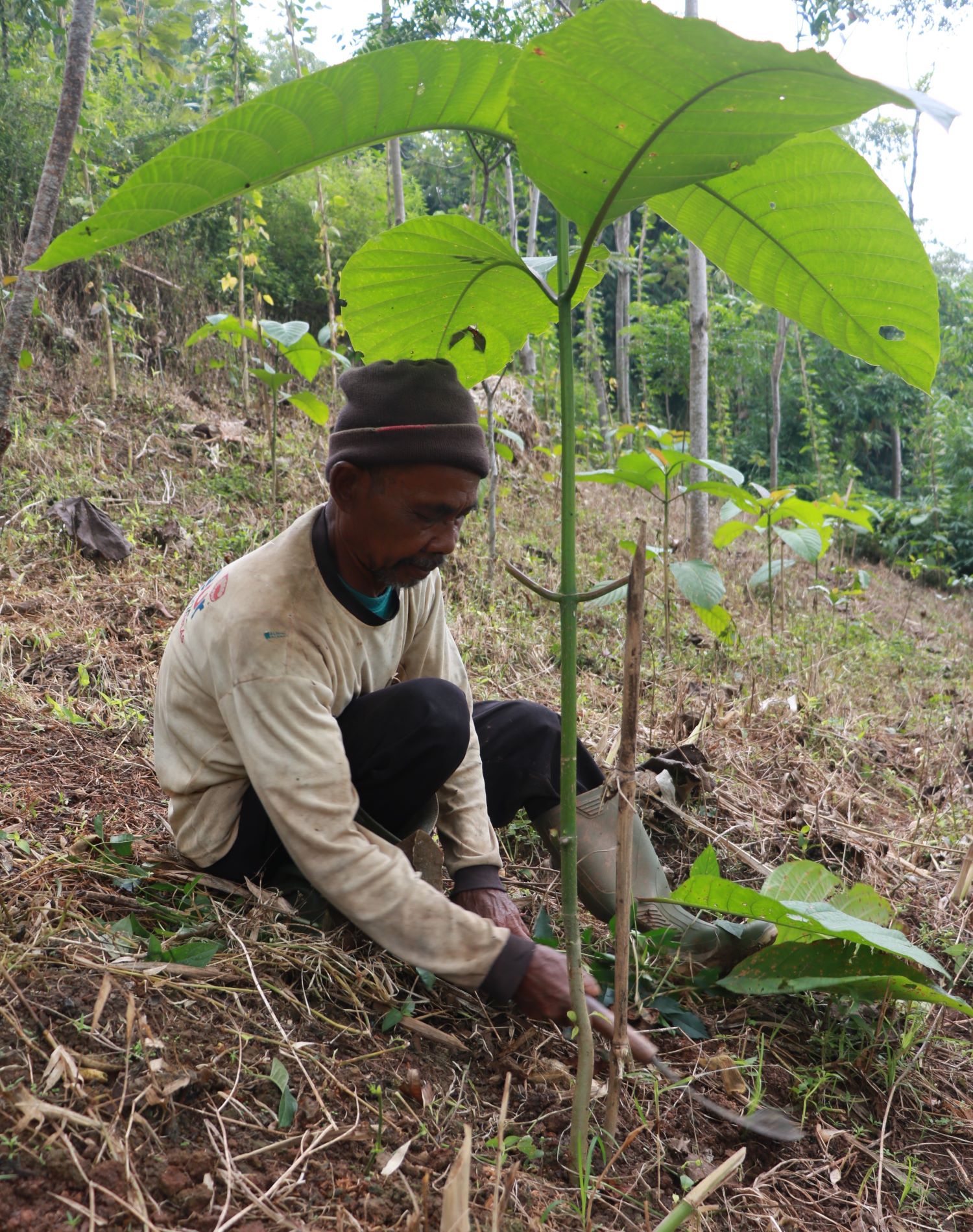 Sar’an: Preserving His Land and Planting Trees for Greater Benefits