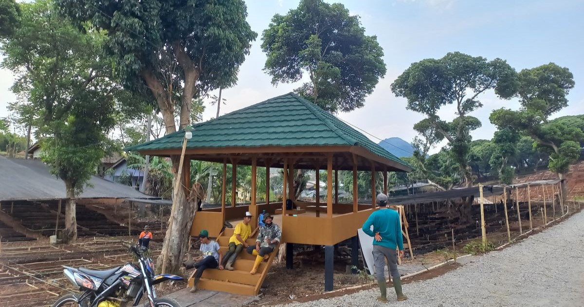 Dedicated and Coordinated Trees4Trees Nursery Teams