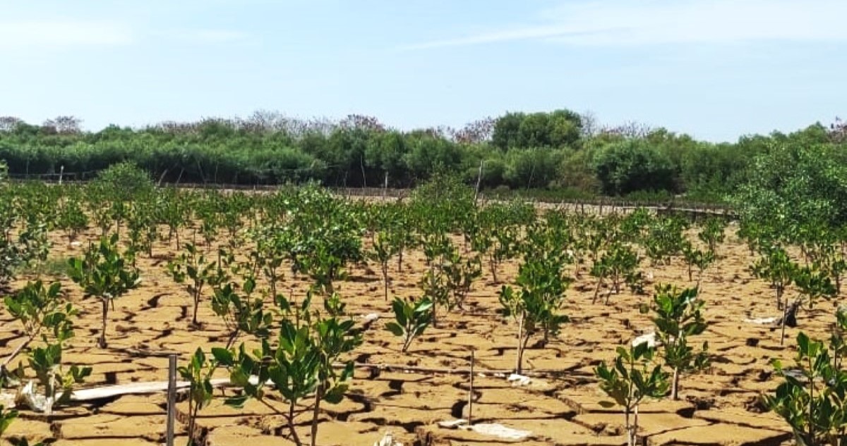 The Heat is On: Finding Solutions to Rising Global Temperatures Blogs