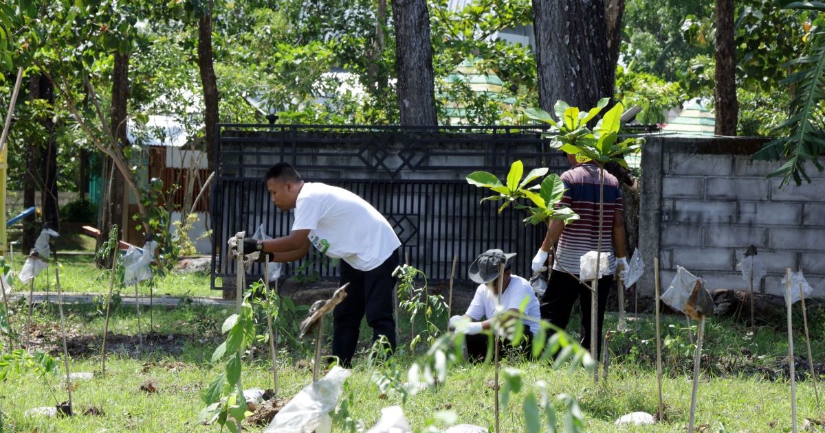 Planting Trees: A Sustainable Initiative in Bojonegoro - Trees4Trees