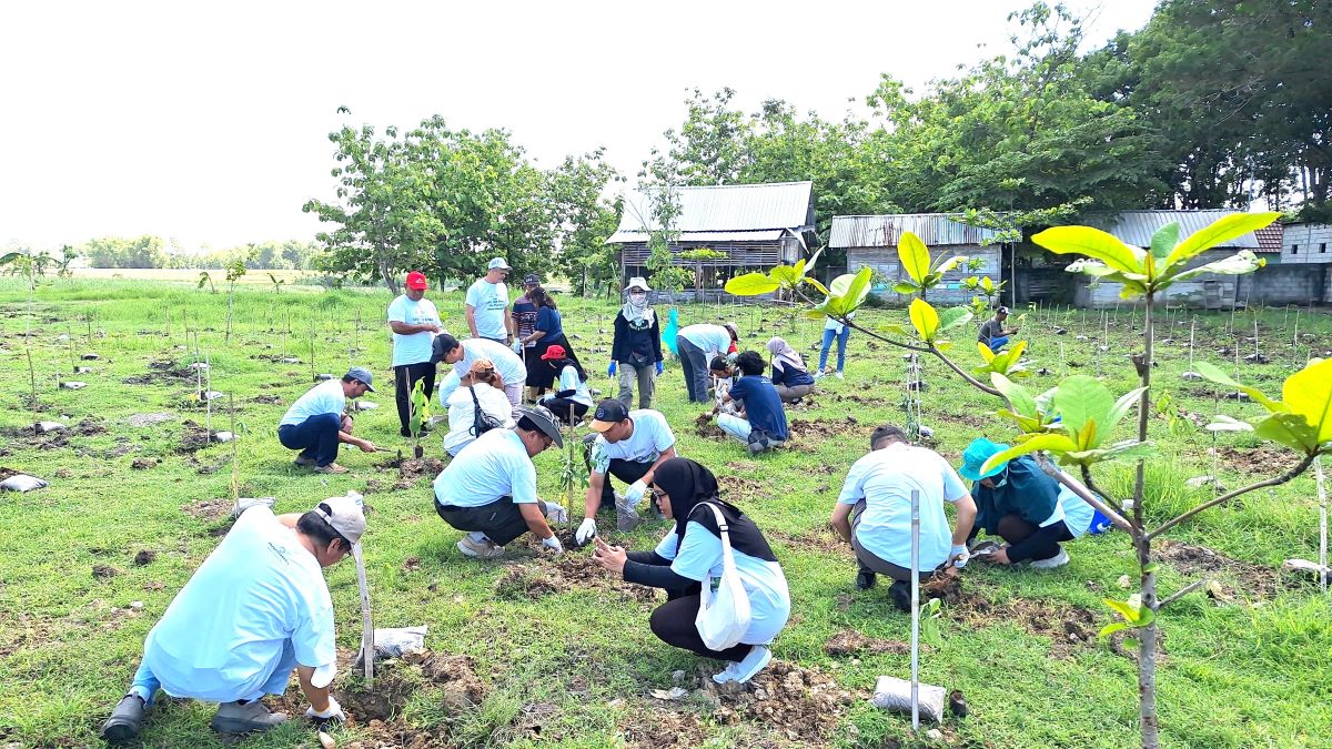 Planting Trees: A Sustainable Initiative in Bojonegoro - Trees4Trees