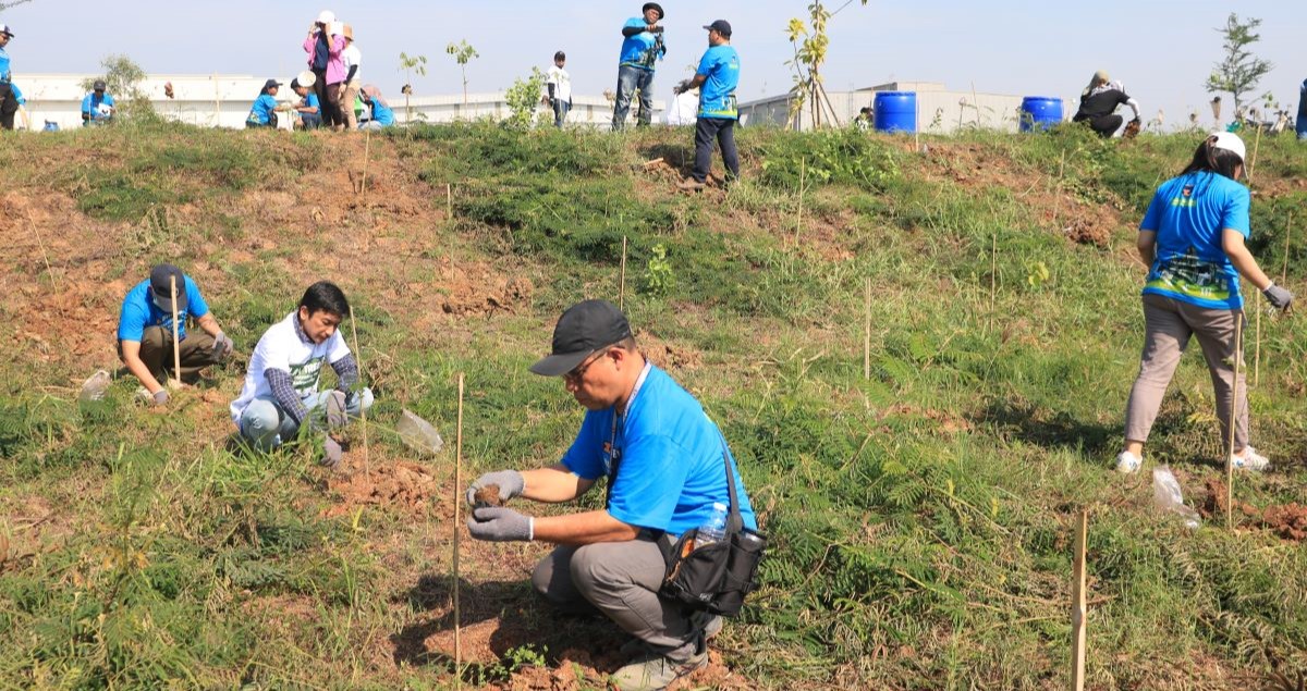 Growing Green: Microsoft’s Continued Urban Forestry Initiative - Blogs