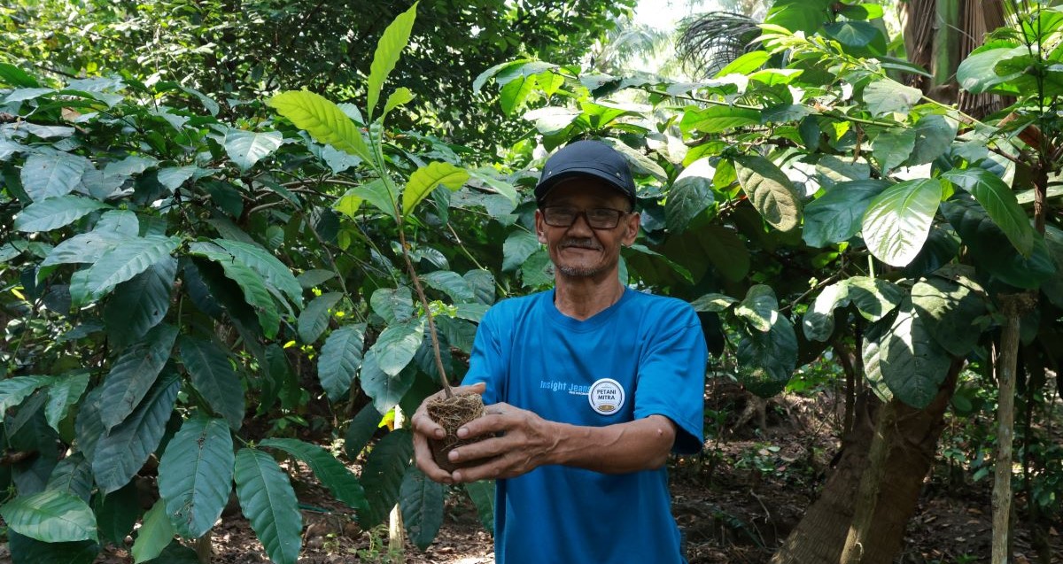 How do Trees Help Conserve Water on Earth? - Trees4Trees