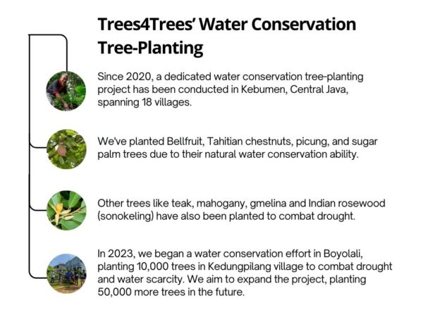 How do Trees Help Conserve Water on Earth? - Trees4Trees